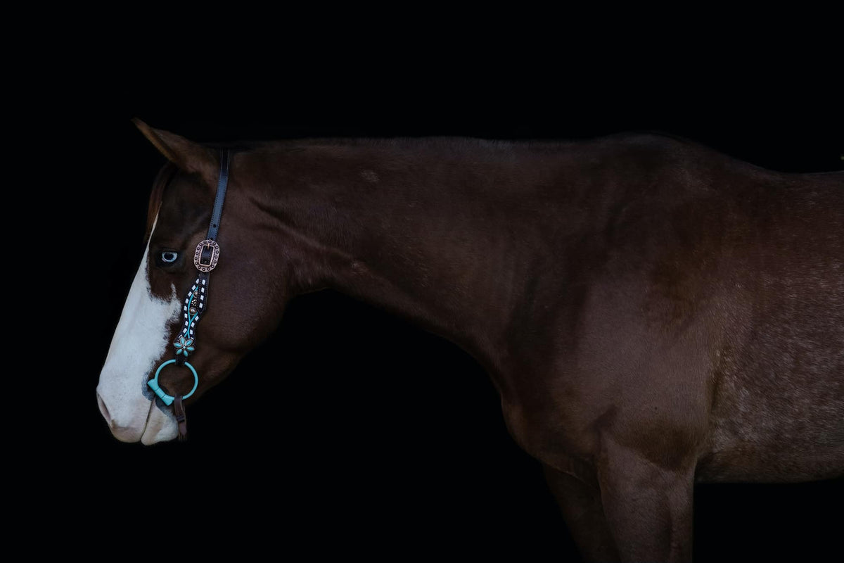 R.A.E. Designer Tack