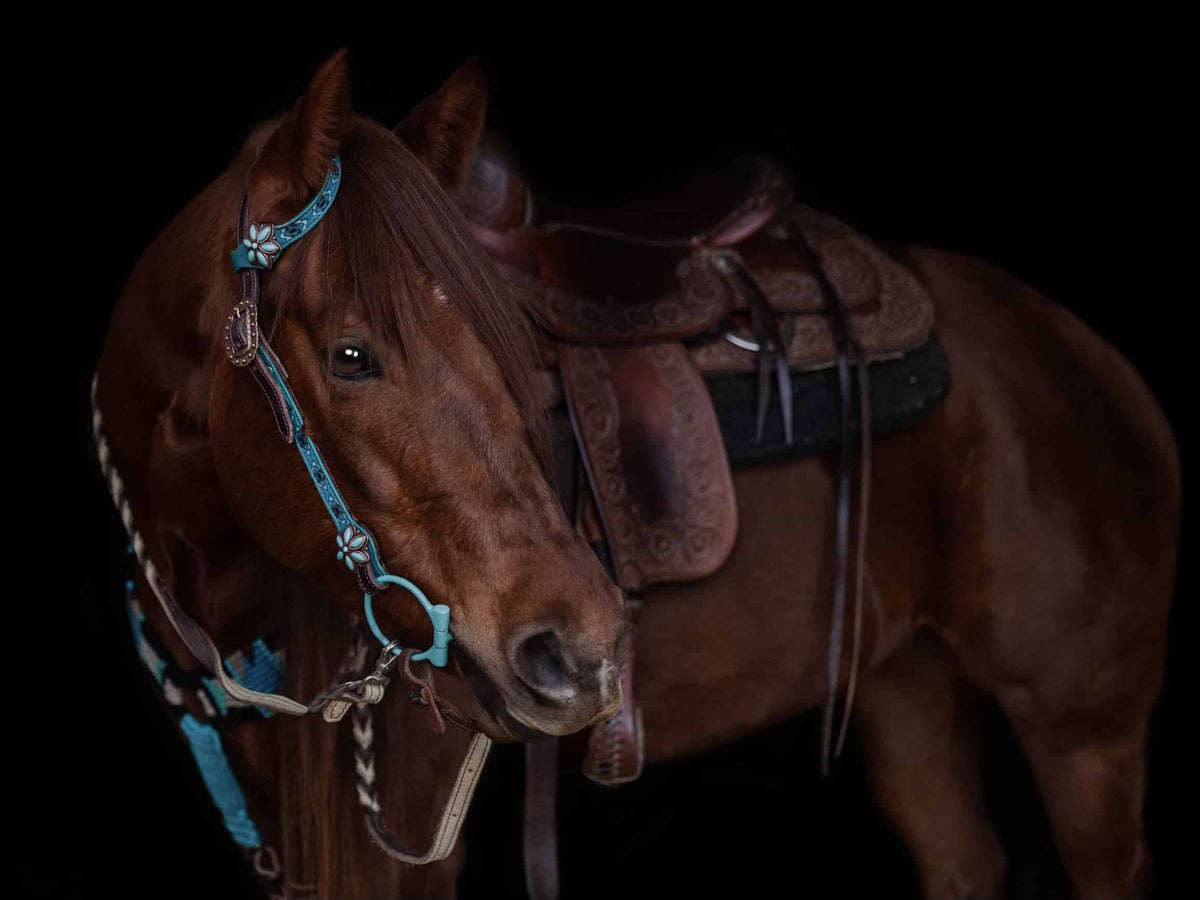 R.A.E. Designer Tack